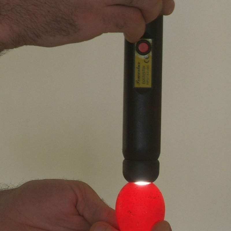 Ovoscope Powerlux