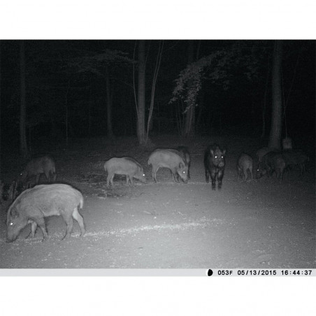 Caméra Chasse Détecteur de Gibier Camouflage