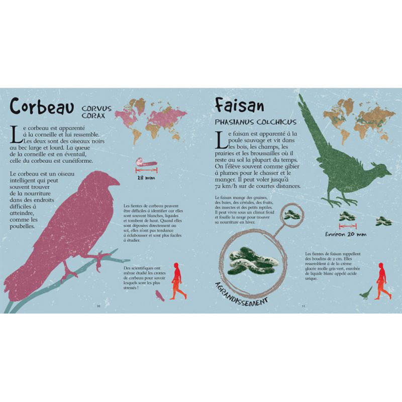 Les crottes des animaux grandeur nature - Ducatillon Belgique